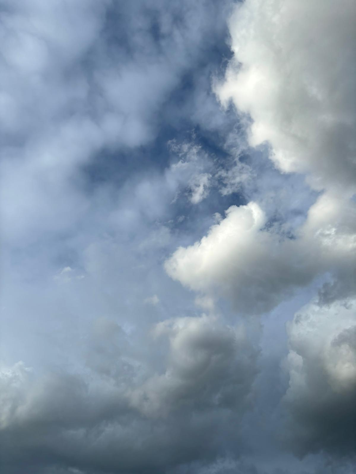 Rutvica – Moj Blog